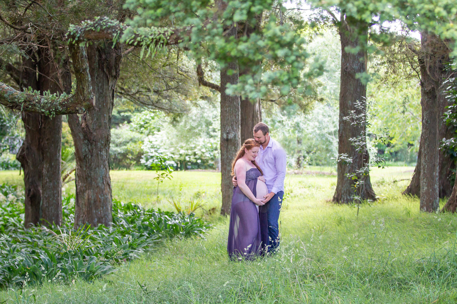 Blog - accentphotography.co.nz